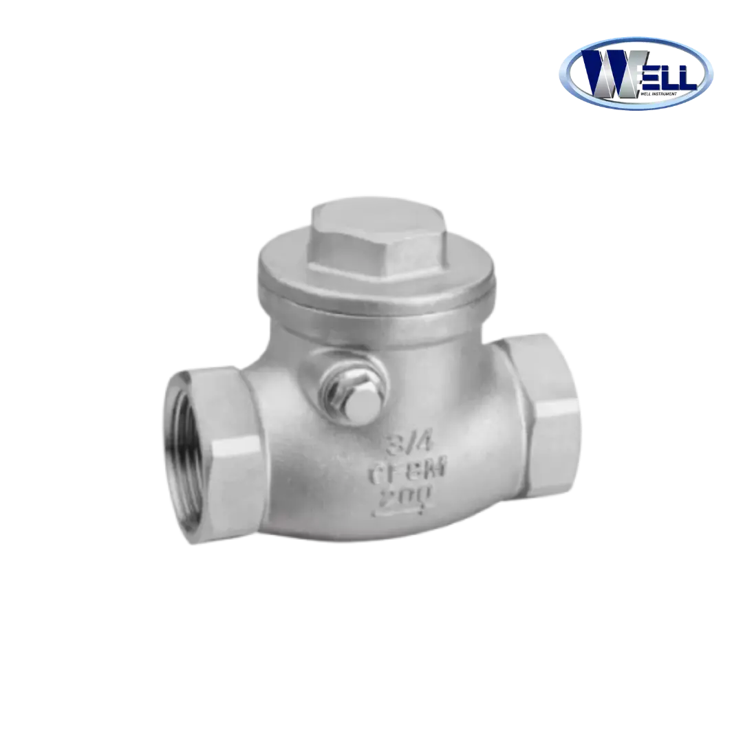STAINLESS STEEL 316 SWING CHECK VALVE สวิงเช็ควาล์ว